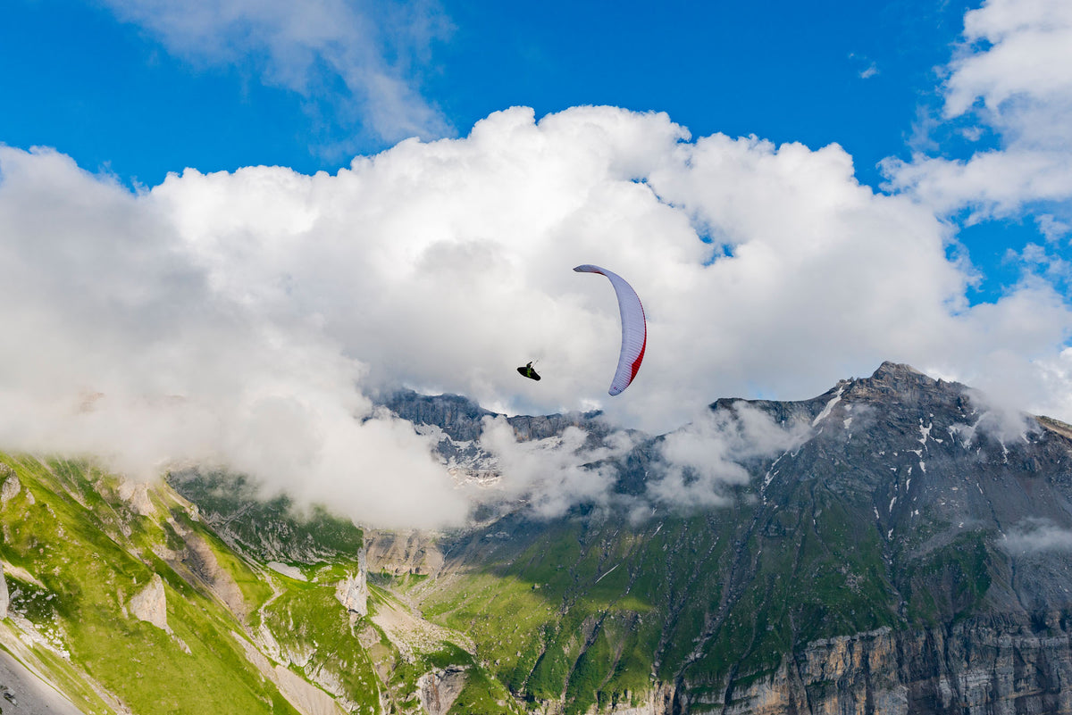 Puma — Fly Above All